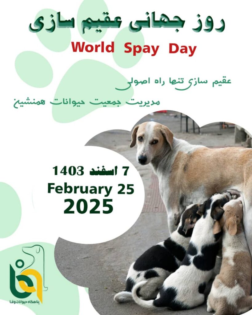 World Spay Day- 2025 | پناهگاه حیوانات وفا